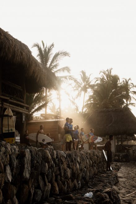 Palomino en Colombie : le guide ultime