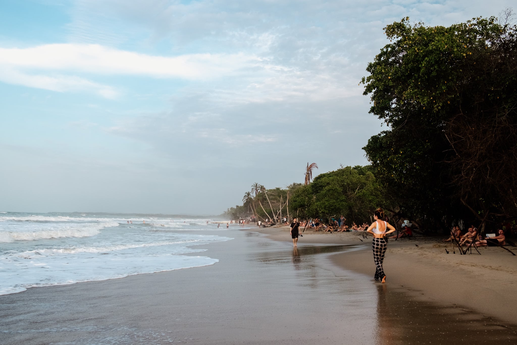 Palomino en Colombie : le guide ultime