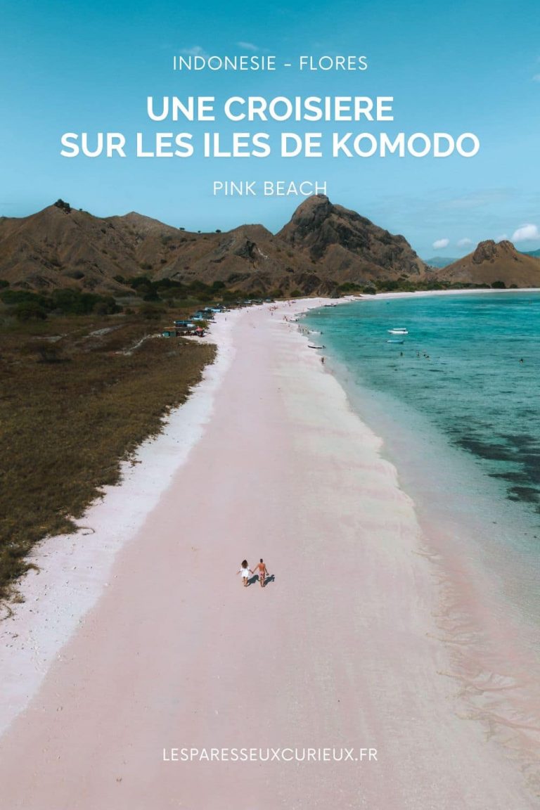 l'Ile de Komodo en croisière : notre expérience de 3 jours à Flores