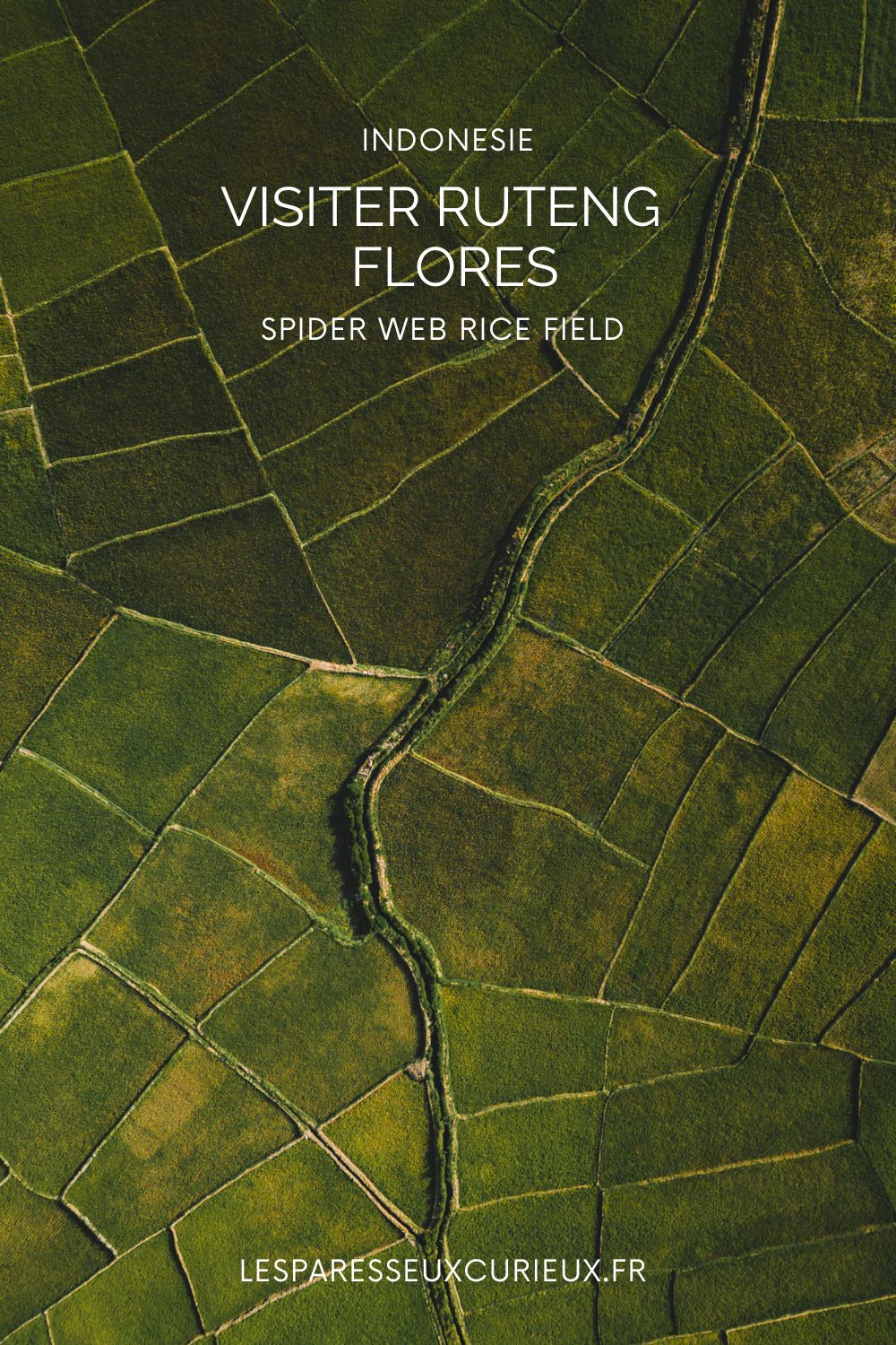 Mini guide pour explorer Ruteng sur l’île de Flores